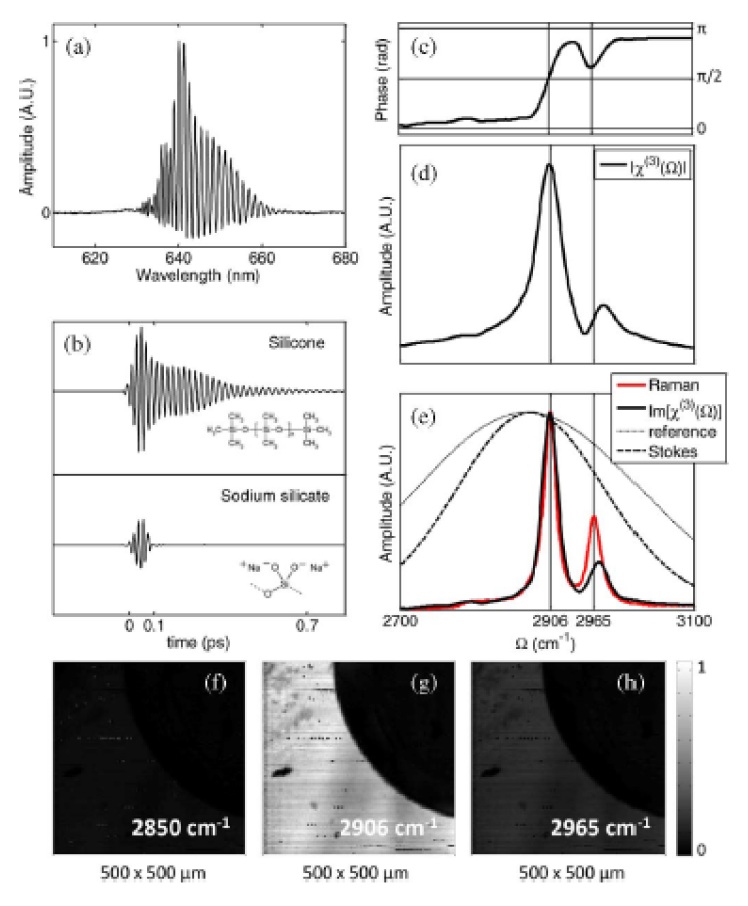 Label-free Imaging | Biophotonics Imaging Laboratory | Illinois